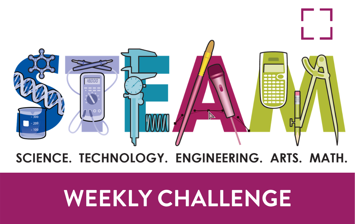 STEAM Challenge II - Evansville Vanderburgh Public Library