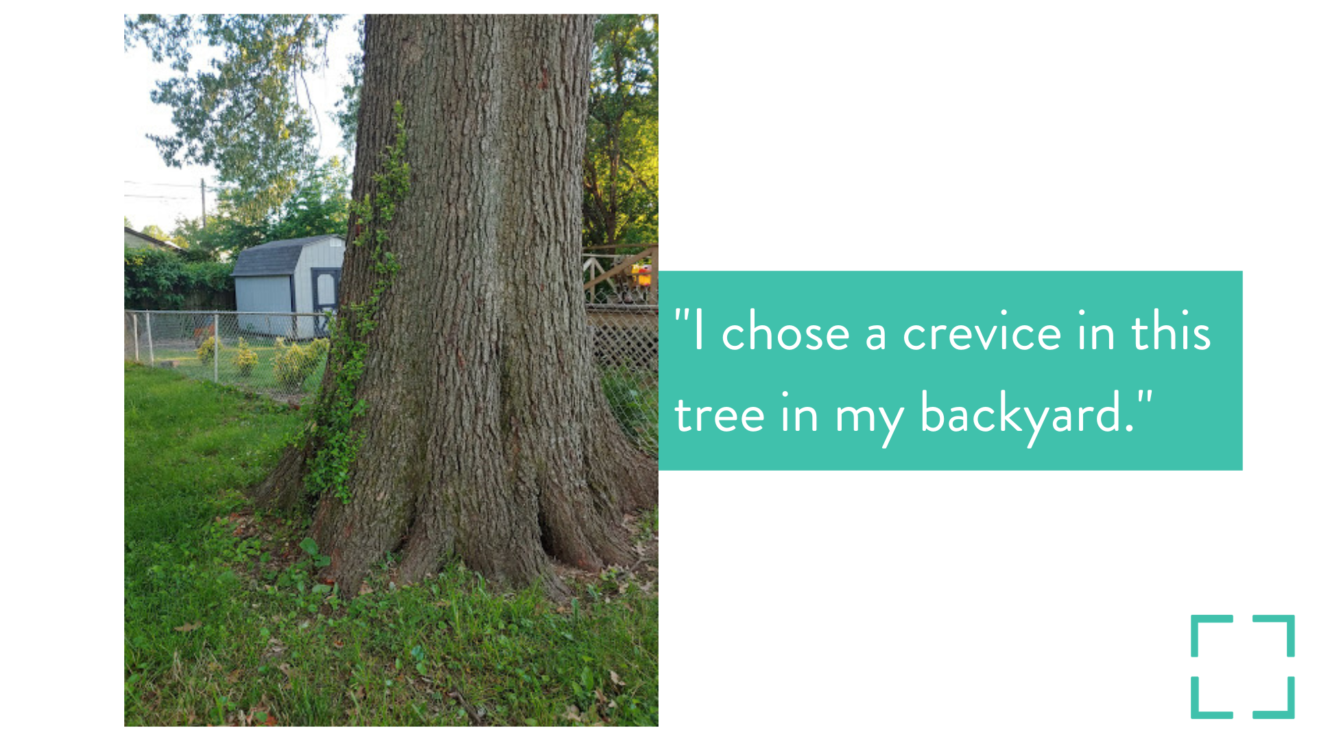 Nature Writing - Evansville Vanderburgh Public Library