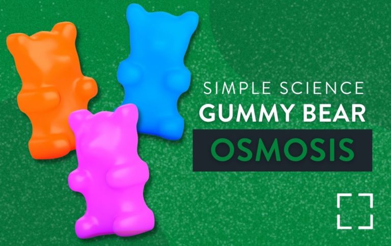 Simple Science: Gummy Bears - Evansville Vanderburgh Public Library